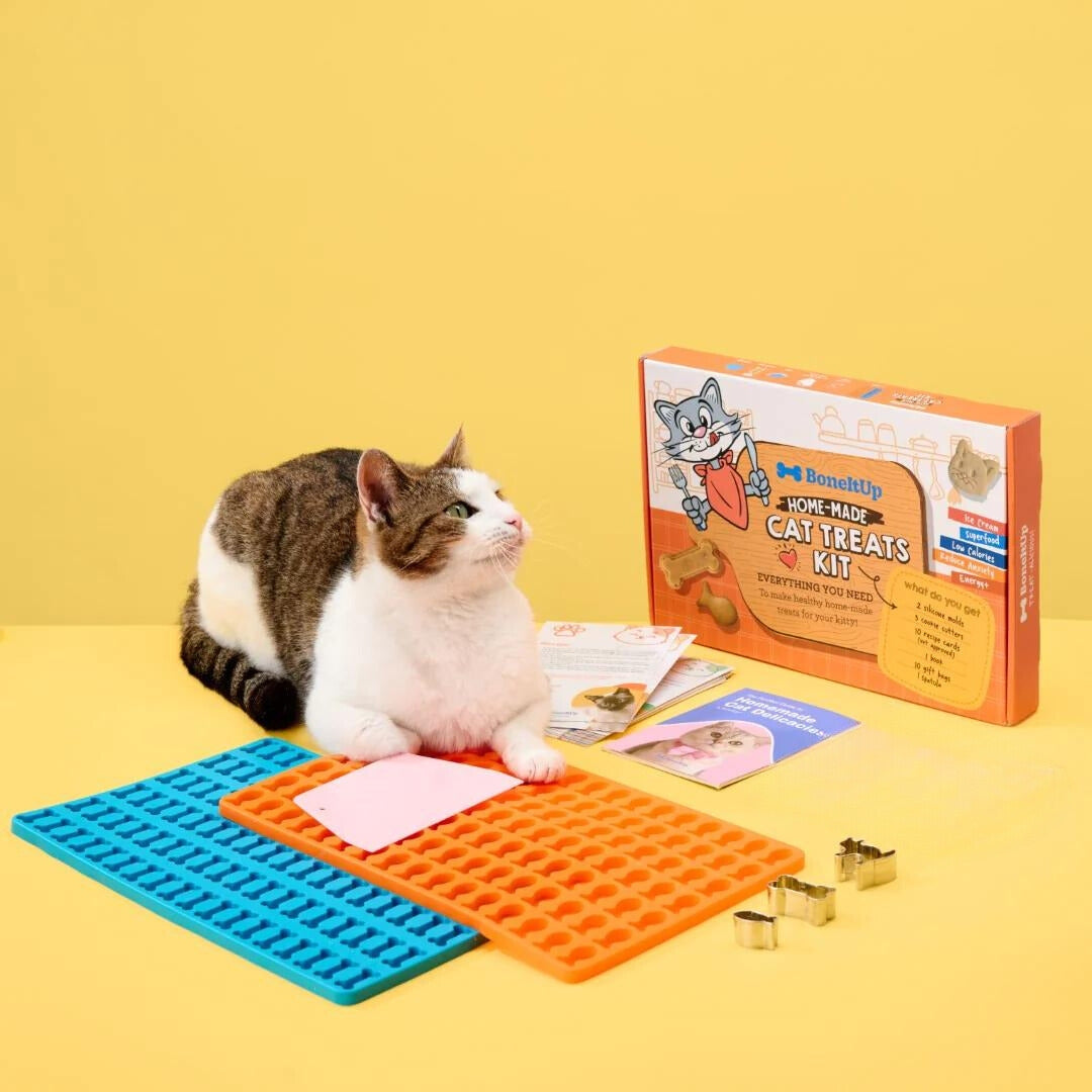 BoneItUp® Cat Edition Homemade Treats Kit – Boneitup